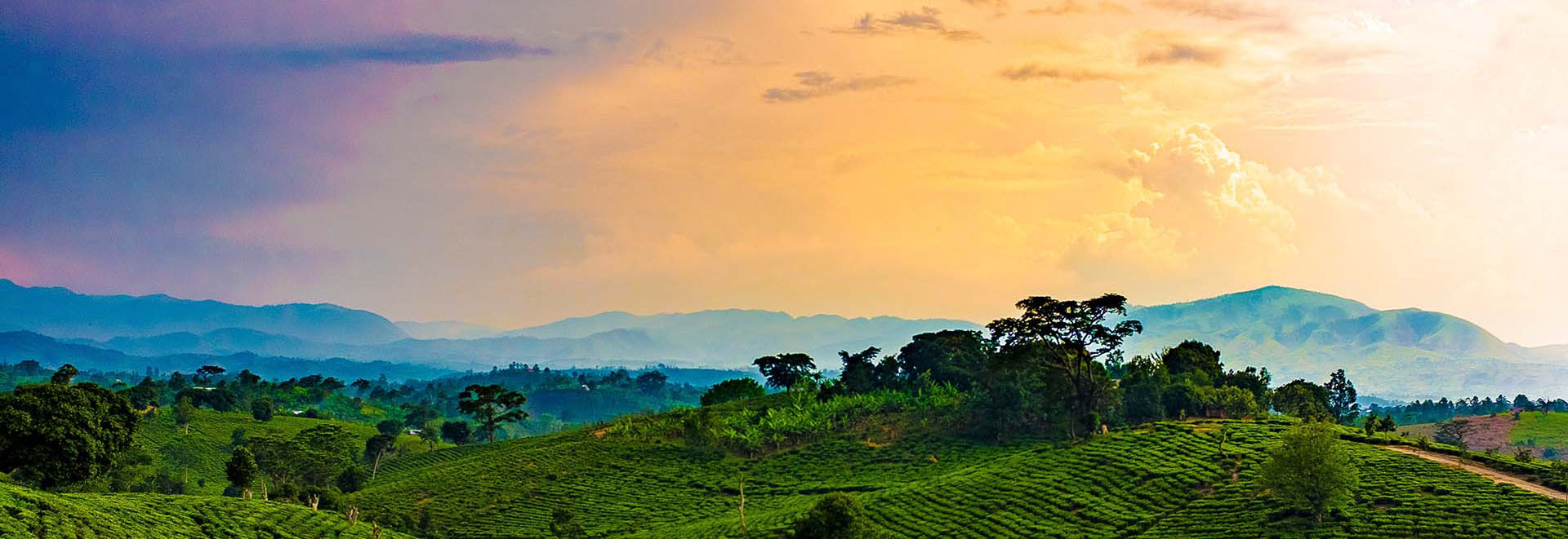 Gallery - Great Seasons Hotel Kigali